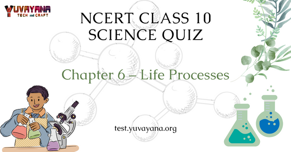 NCERT Class 10 Science Chapter 6 Quiz : Life Processes